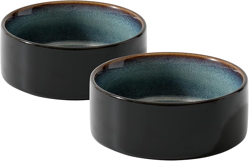 Ceramic Elevated Cat Food and Water Bowl, Kitty Bowl, Raised Cat Feeder ...