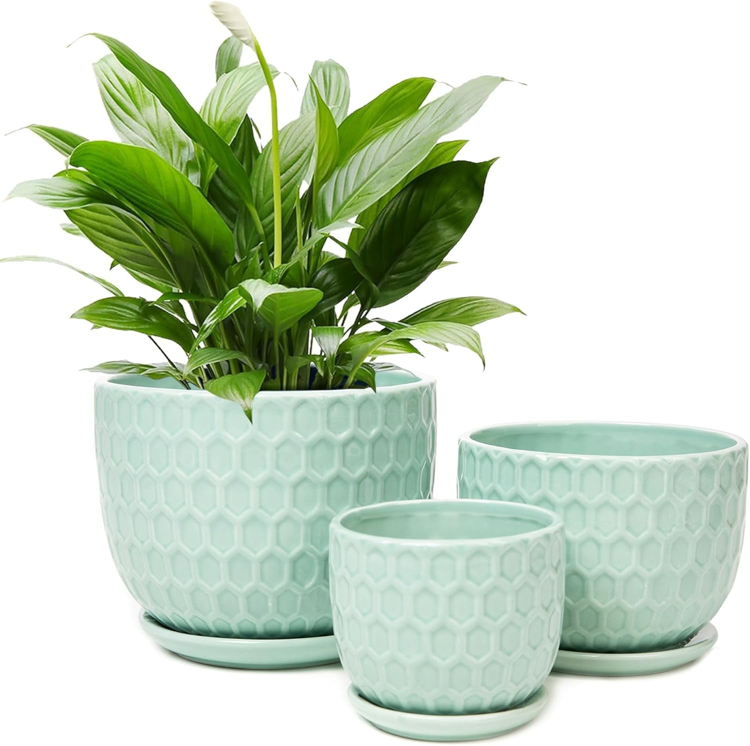 Ceramic Flower Pots with Drainage Hole and Saucer, Modern Round ...