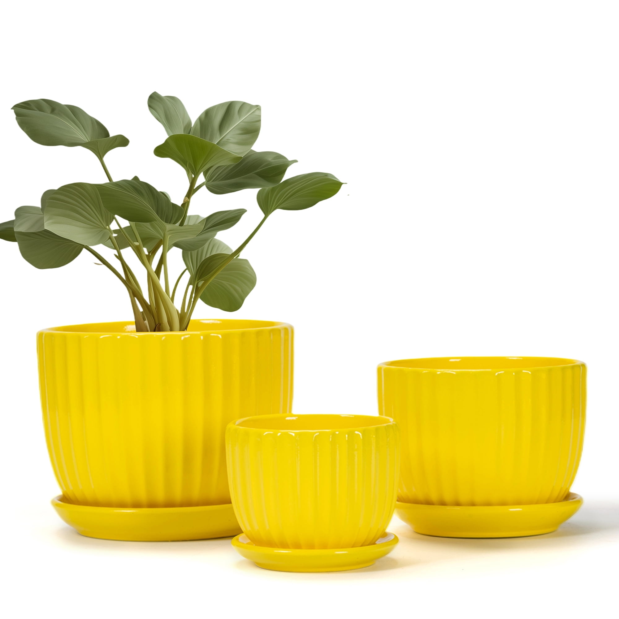 Ceramic Flower Pots,Yellow Plant Pots for Indoor Plants,4.1+5.1+6.5 ...