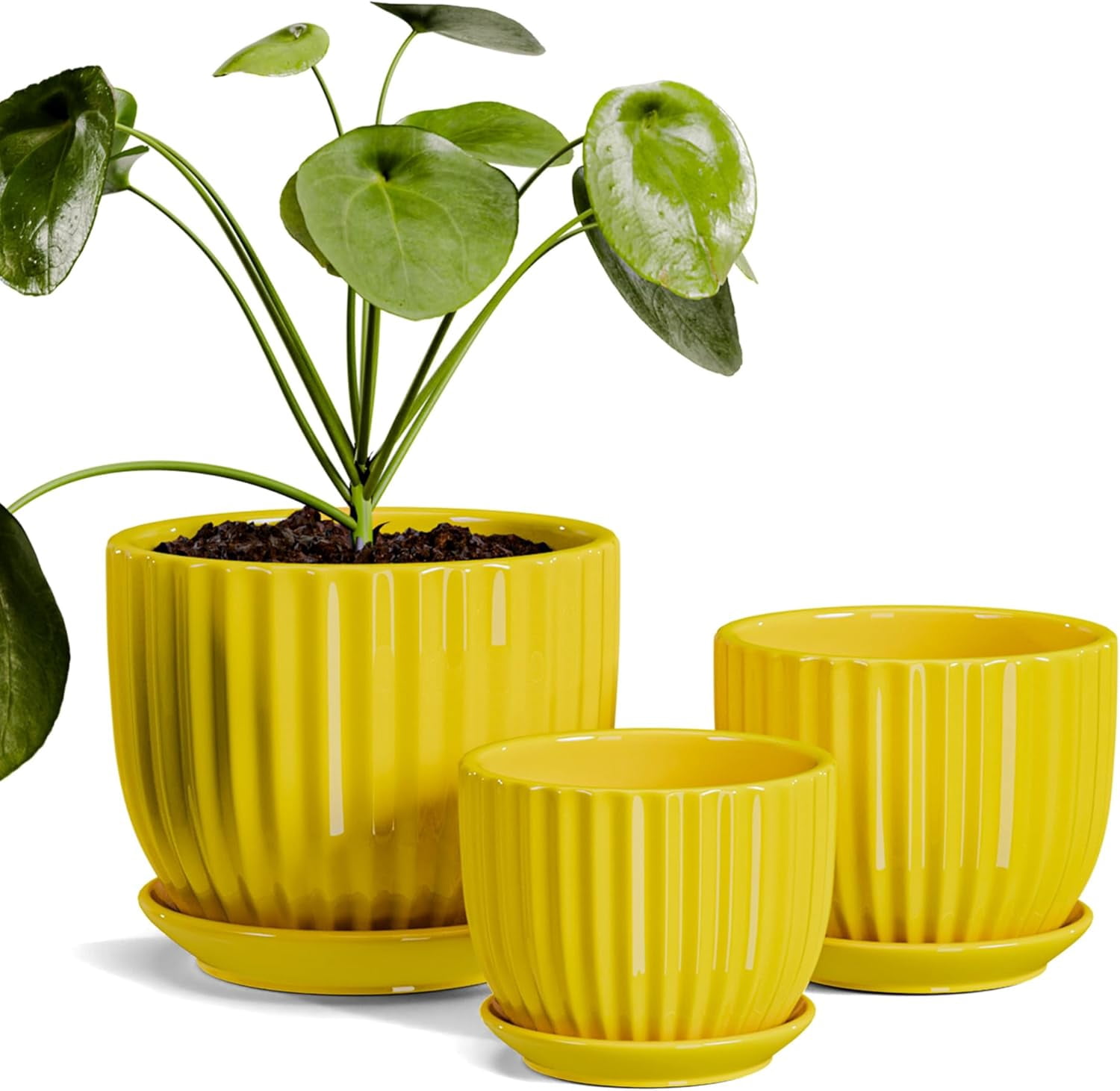 Ceramic Flower Pots,Yellow Plant Pots for Indoor Plants,4.1+5.1+6.5 ...