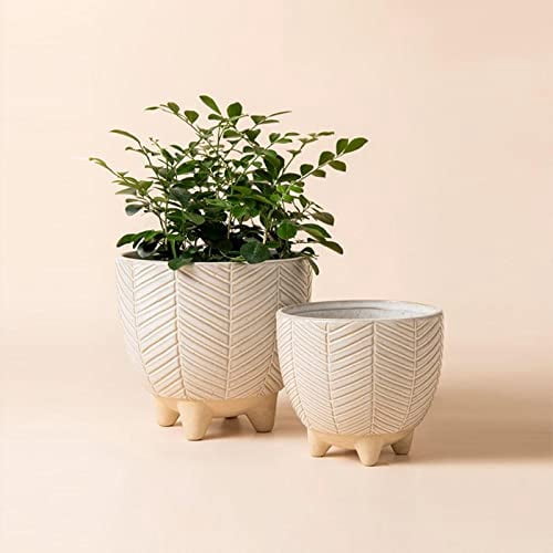 Ceramic Footed Flower Plant Pots - 6.7 + 5.1 Inch Boho Planters with ...