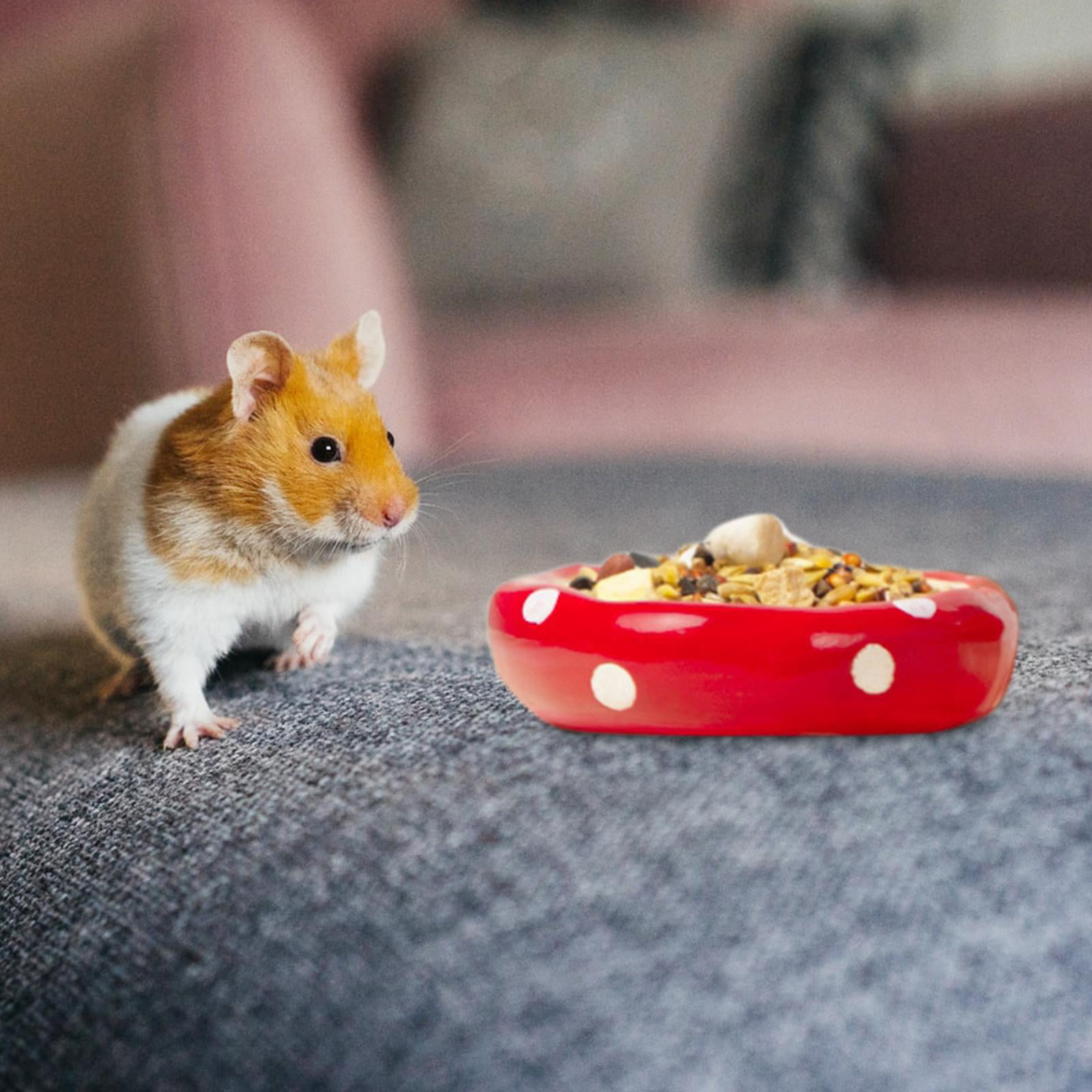 Ceramic Hamster House Small Animal Hideout Cave Hamster Nest ...