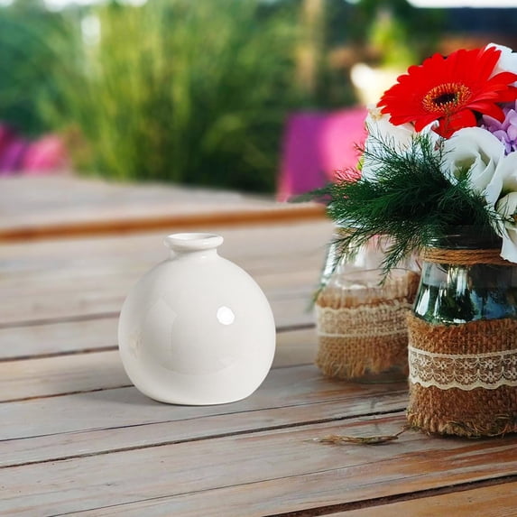 Ceramic Hydroponic Vase for Dried Flowers, Self-Watering Planter for ...