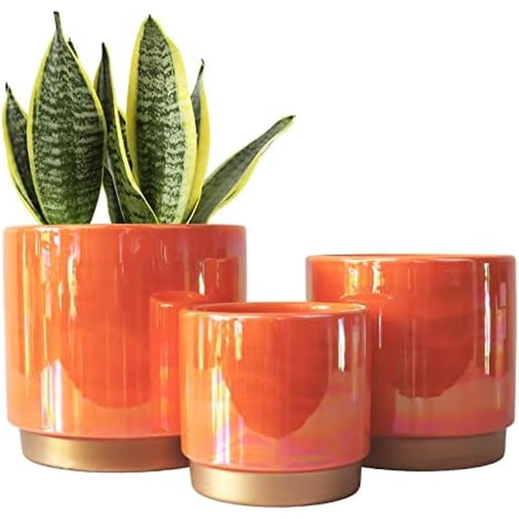 Ceramic Indoor Pots for Plants, Rainbow Pearl Glaze Planter with ...