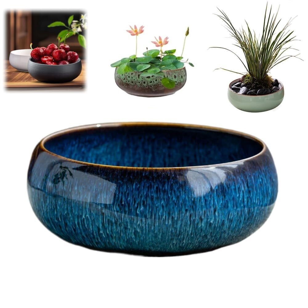 Ceramic Lotus Bowl Planter for Indoor Water Plants Hydroponic Bonsai ...