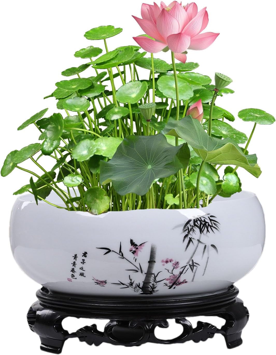Ceramic Lotus Bowl Planter with Stand, Lotus Bowls for Planting in ...