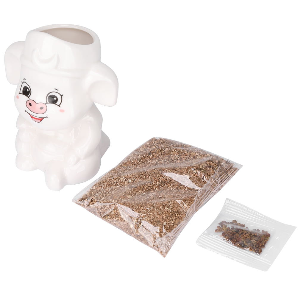 Ceramic Mini Pig Planter Pots, Small Modern Succulent Containers ...