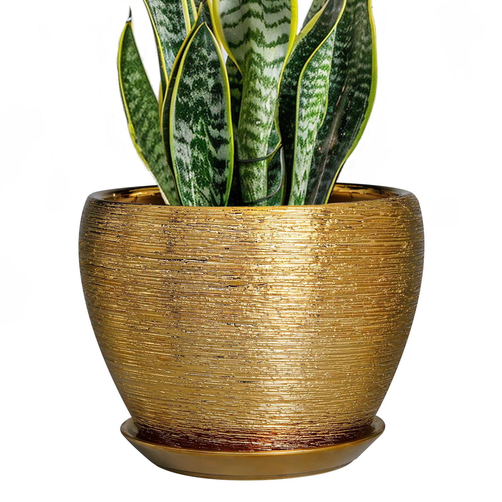 Ceramic Modern Glaze Succulent Planter Pot with Drainage Hole and ...