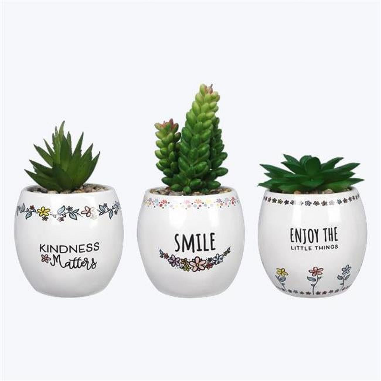 Ceramic Multi Color Pots with Succulent - Small - 3 Piece - Walmart.com