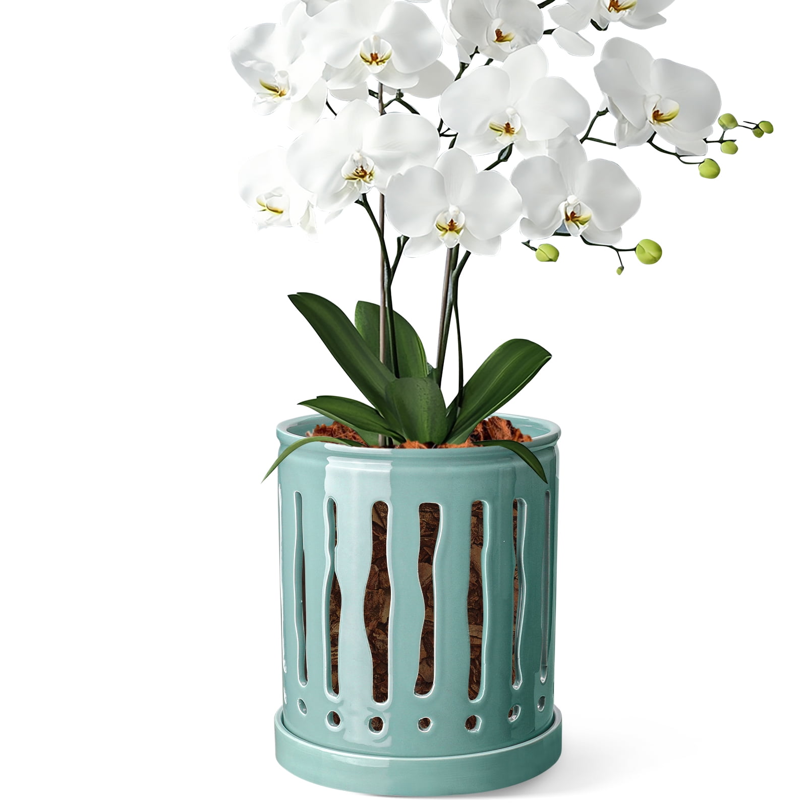 BUYMAX 6" Ceramic Orchid Pot with Slotted Drainage Holes and Tray,Blue ...