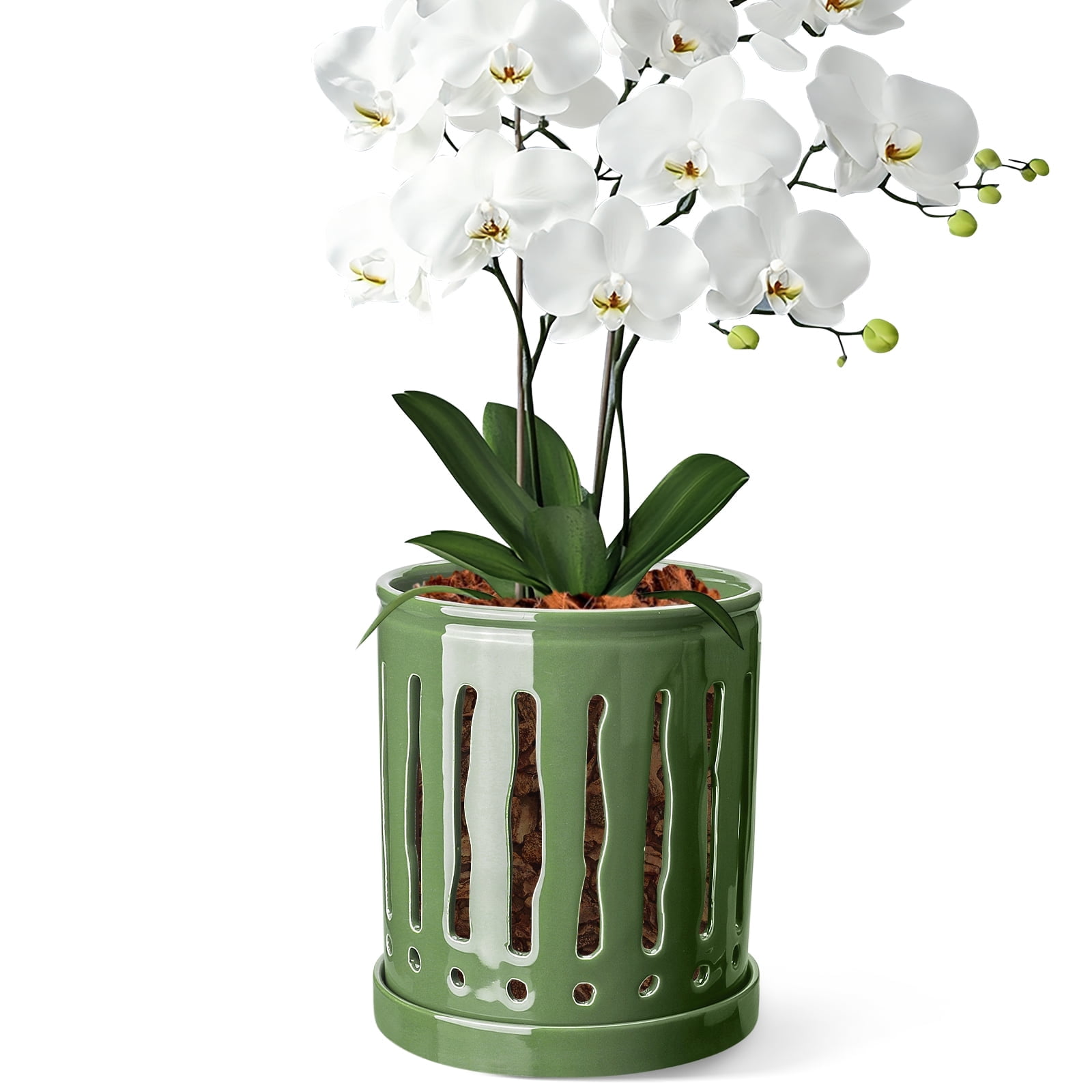 BUYMAX 6" Ceramic Orchid Pot with Slotted Drainage Holes and Tray ...