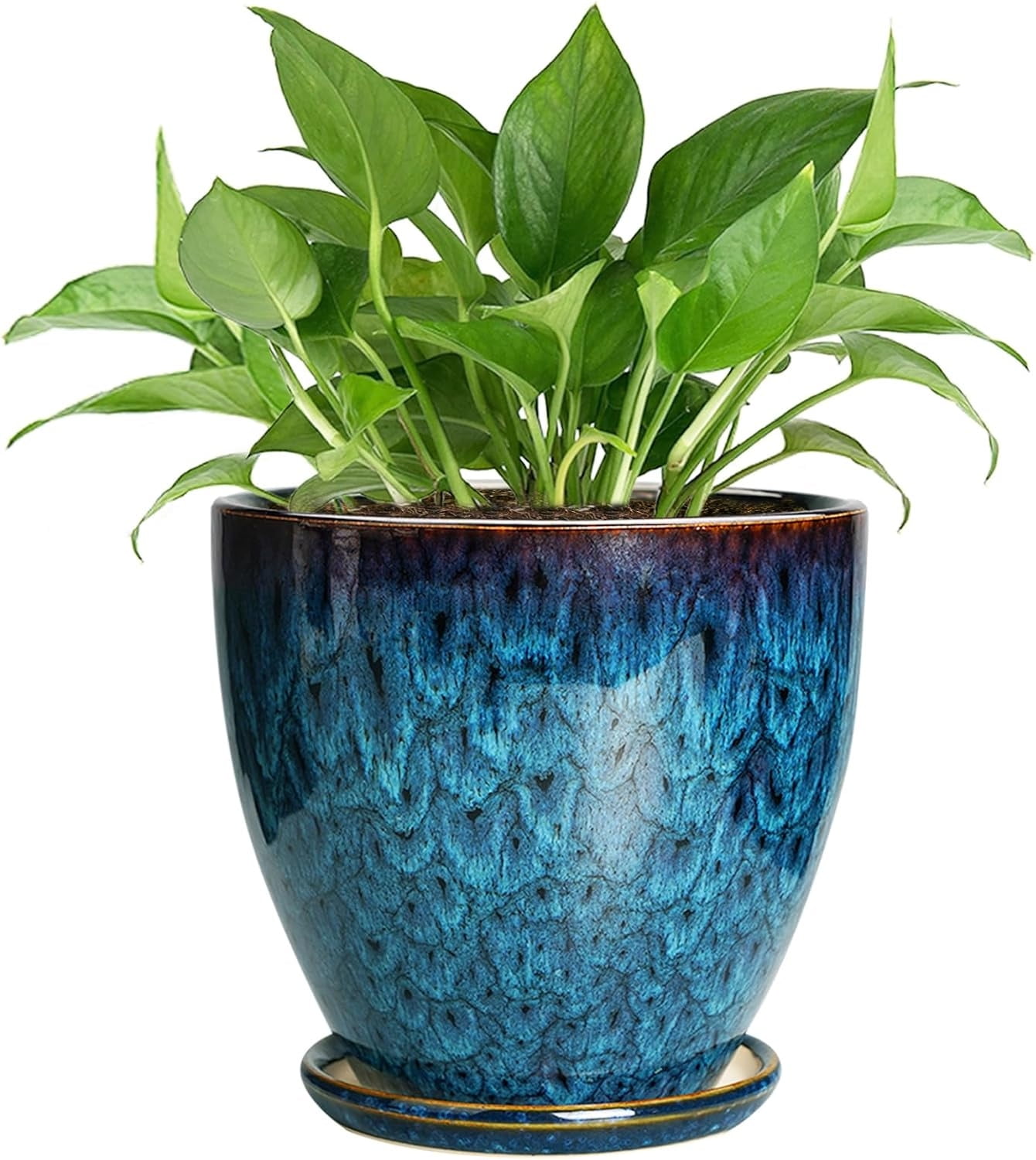 Ceramic Plant Pot, 6 Inch Ceramic Planter Pot with Drainage Hole and ...