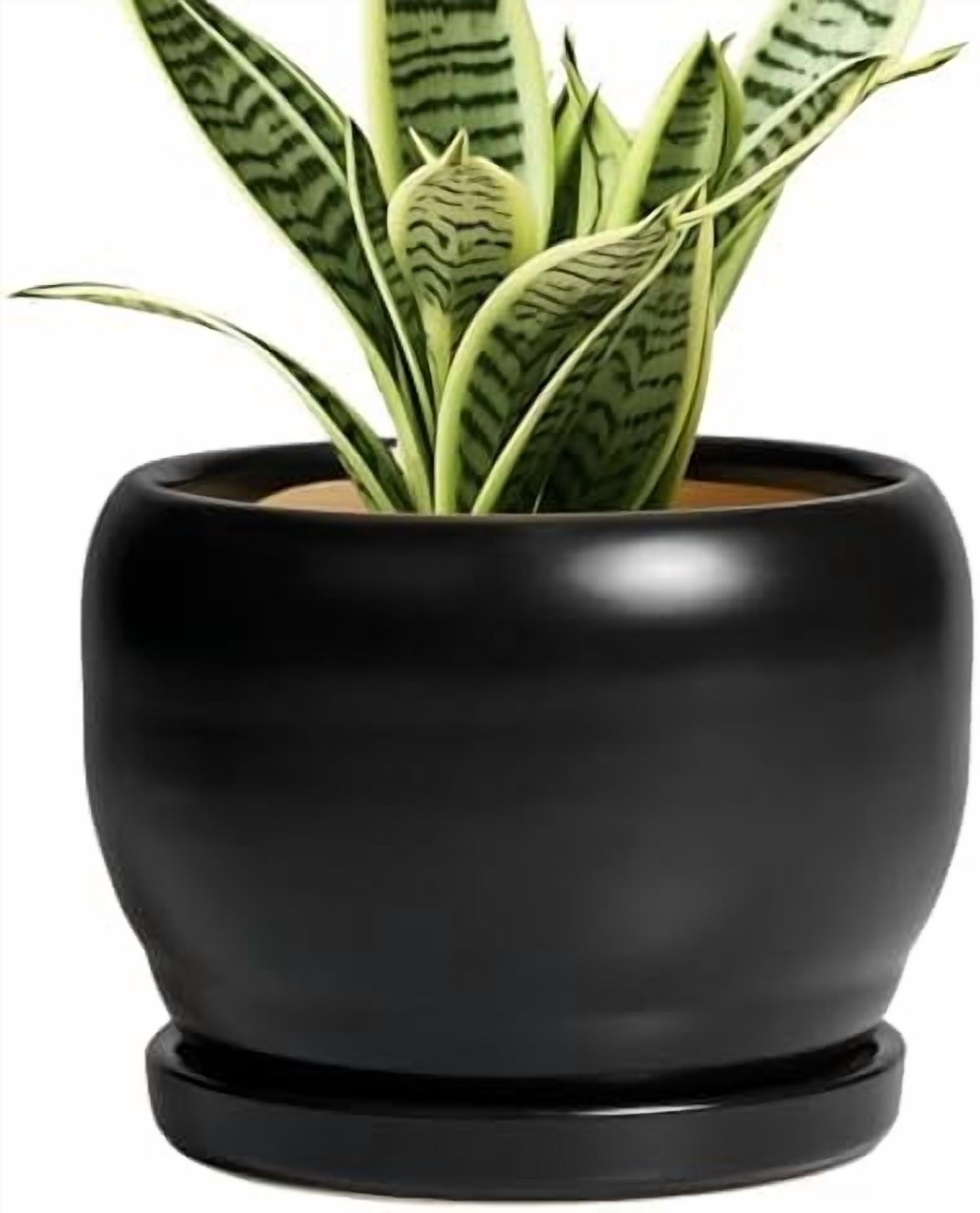 Ceramic Plant Pot - 6 Inch Planter for Indoor Plants, Round Flower Pot ...