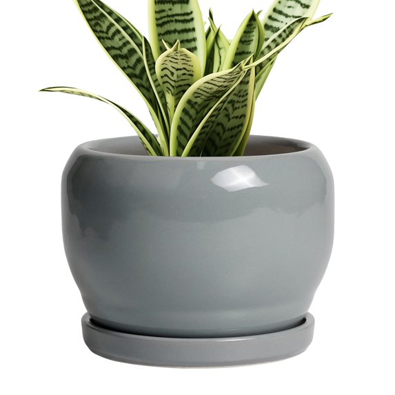Ceramic Plant Pot 6 inch, Small Round Pots for Indoor Plants with ...
