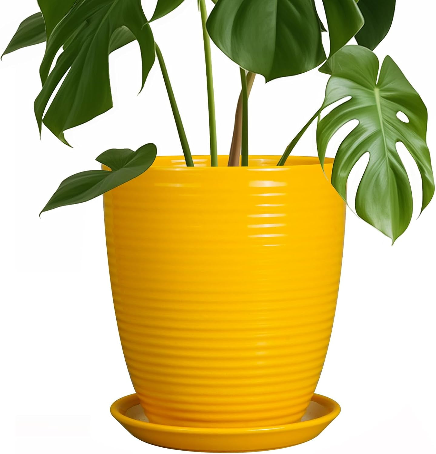 Ceramic Plant Pot - 8 Inch Planter Pot with Drainage Hole and Saucer ...