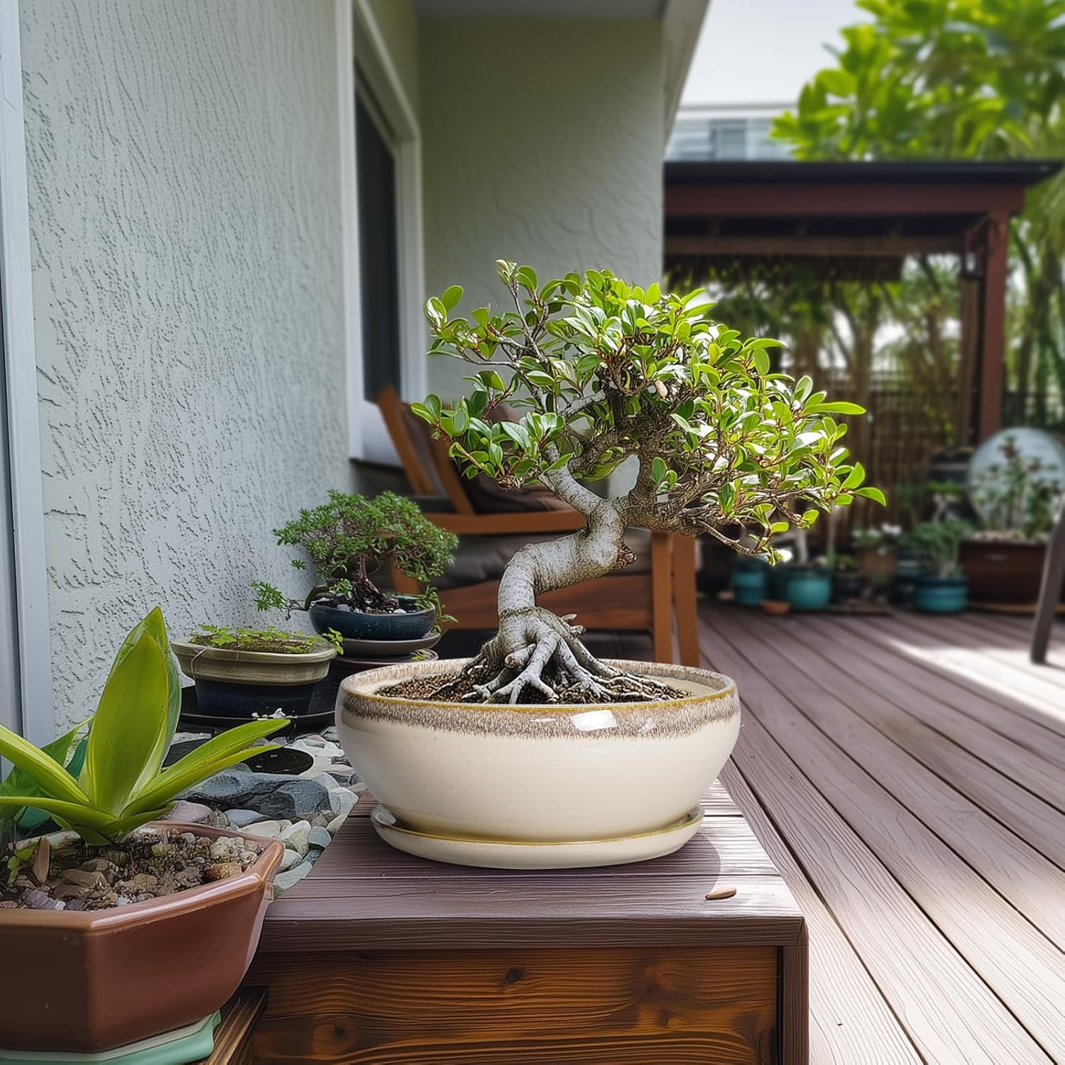 Ceramic Plant Pot - Beige, 10 Inch - Walmart.com