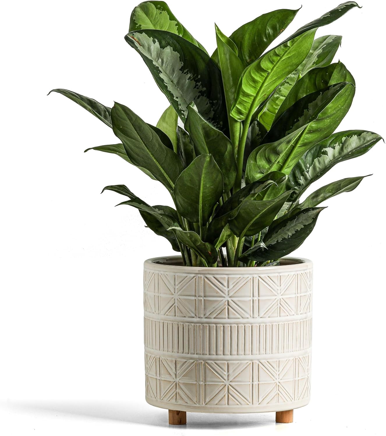 Ceramic Plant Pot with Foots: 10 Inch Planter with Wooden Legs - Large ...