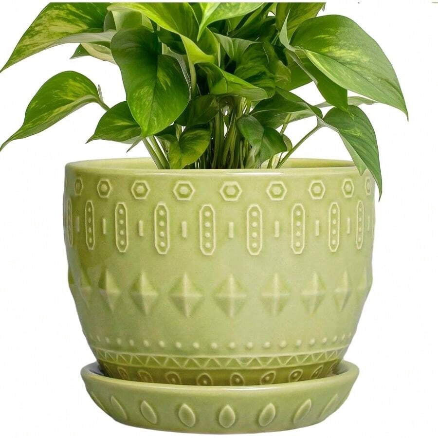Ceramic Plant Pot With Drainage Hole And Saucer 5.5 Inch Columnar Green ...