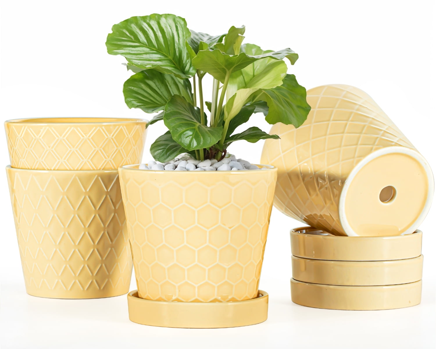 Ceramic Plant Pots, 5Inch Pots for Indoor Plants, Planters with ...