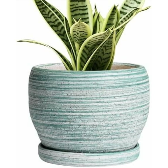 Ceramic Plant Pots - 6 Inch Planter with Drainage Hole and Tray, Round ...
