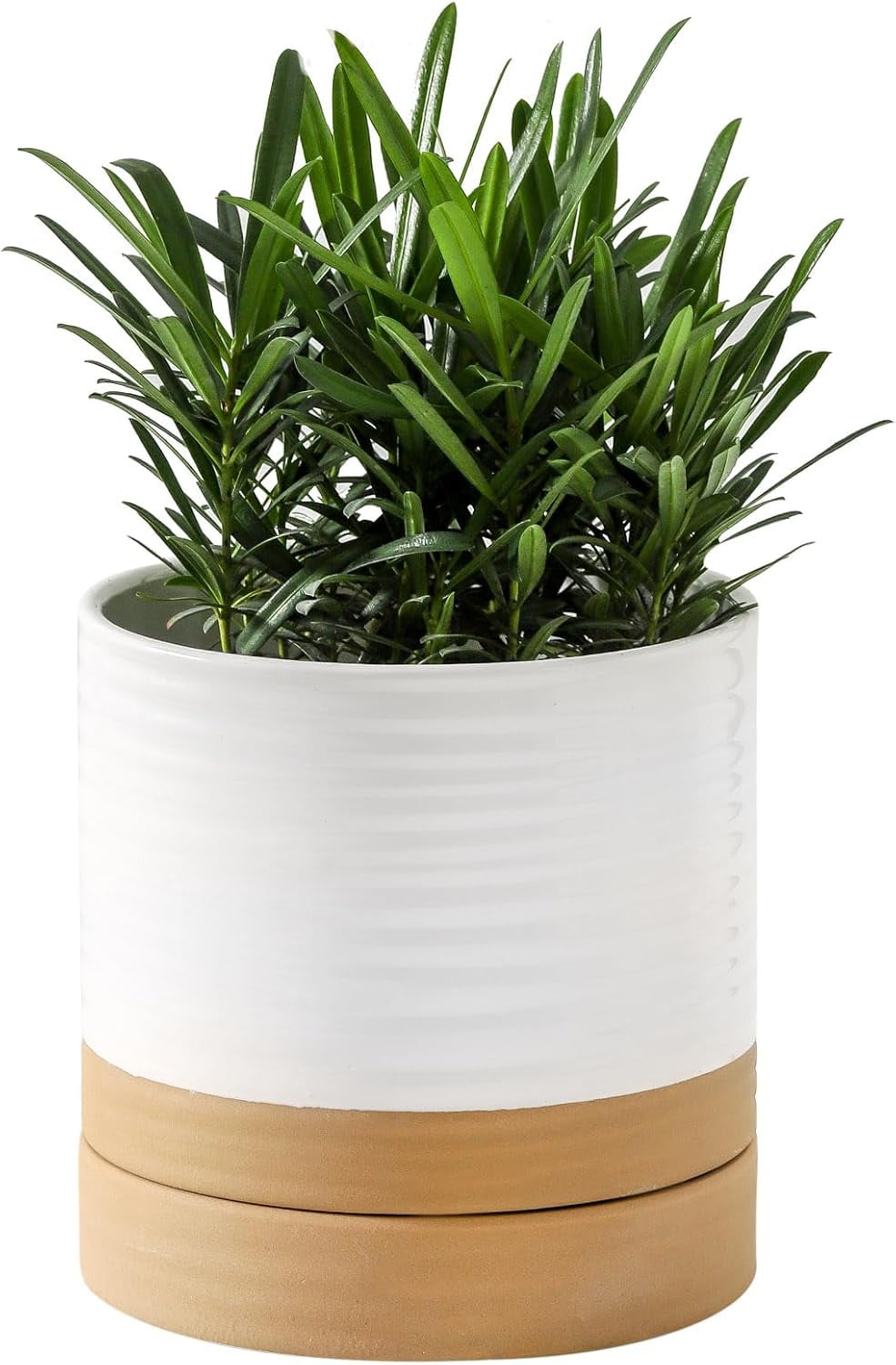 Ceramic Plant Pots, 6 Inch Planters for Indoor Plants with Drainage ...