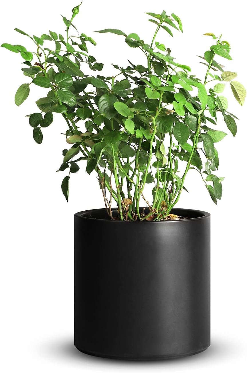 Ceramic Plant Pots Indoor - Garden Planter Pot for Planting - Modern ...