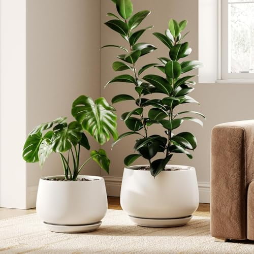 Ceramic Plant Pots, Set of 2, 10 + 12 Inch Plant Pot, Elegant Planters ...