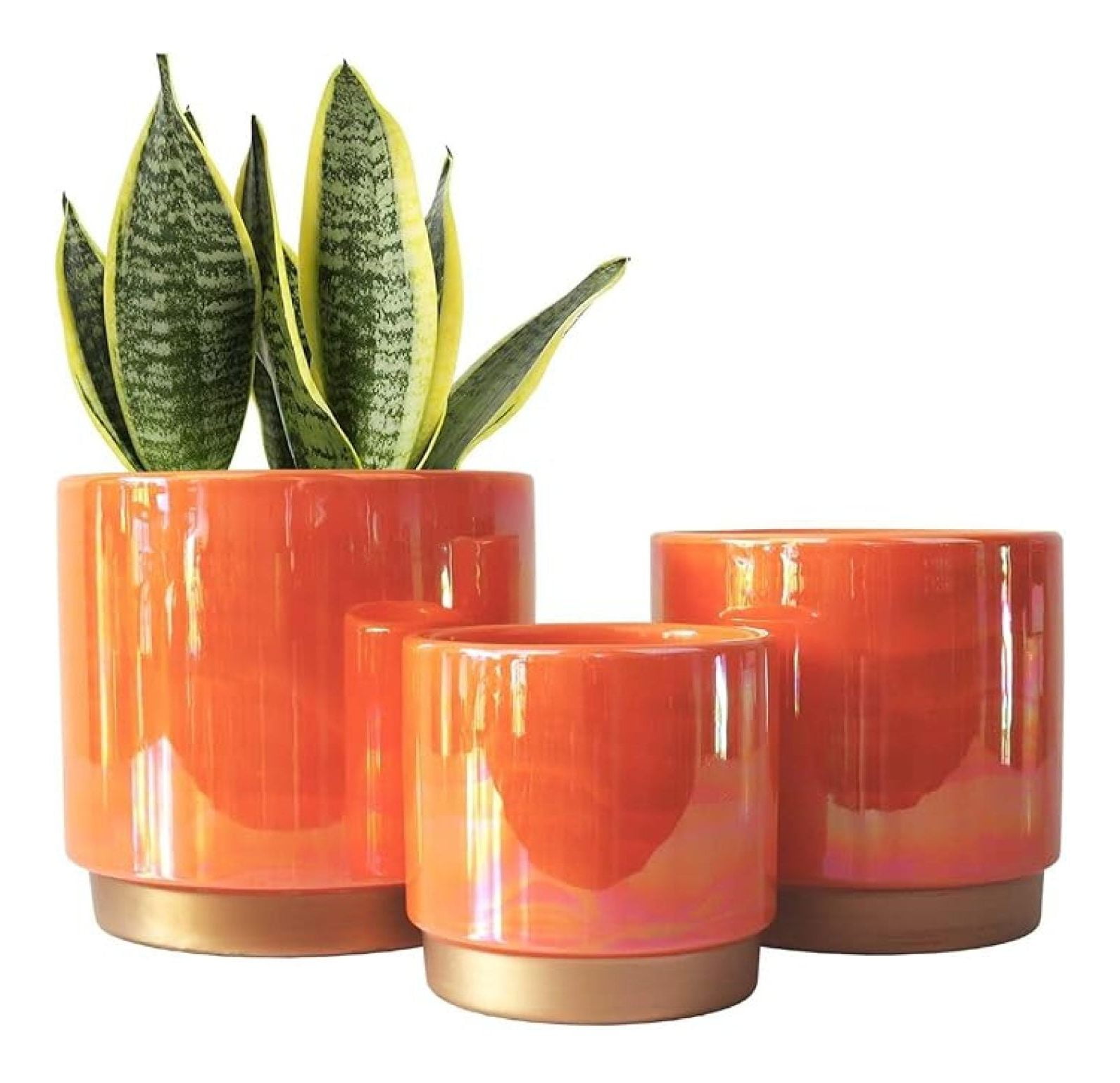 Ceramic Plant Pots with Drainage, Set of 3-6" 5" 4" Indoor Outdoor ...