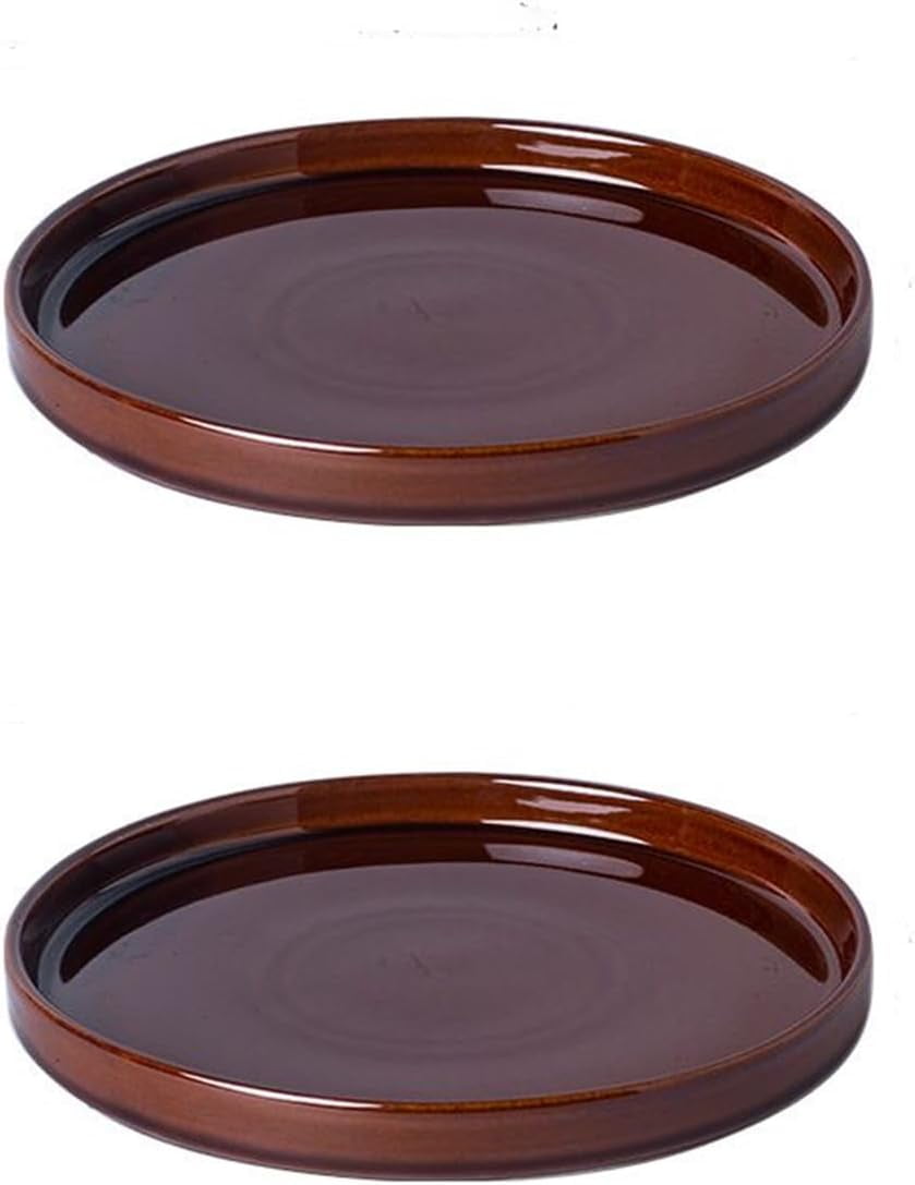 Ceramic Plant Saucer 5 Inch, 2 Pack Round Plant Saucers for Indoors ...