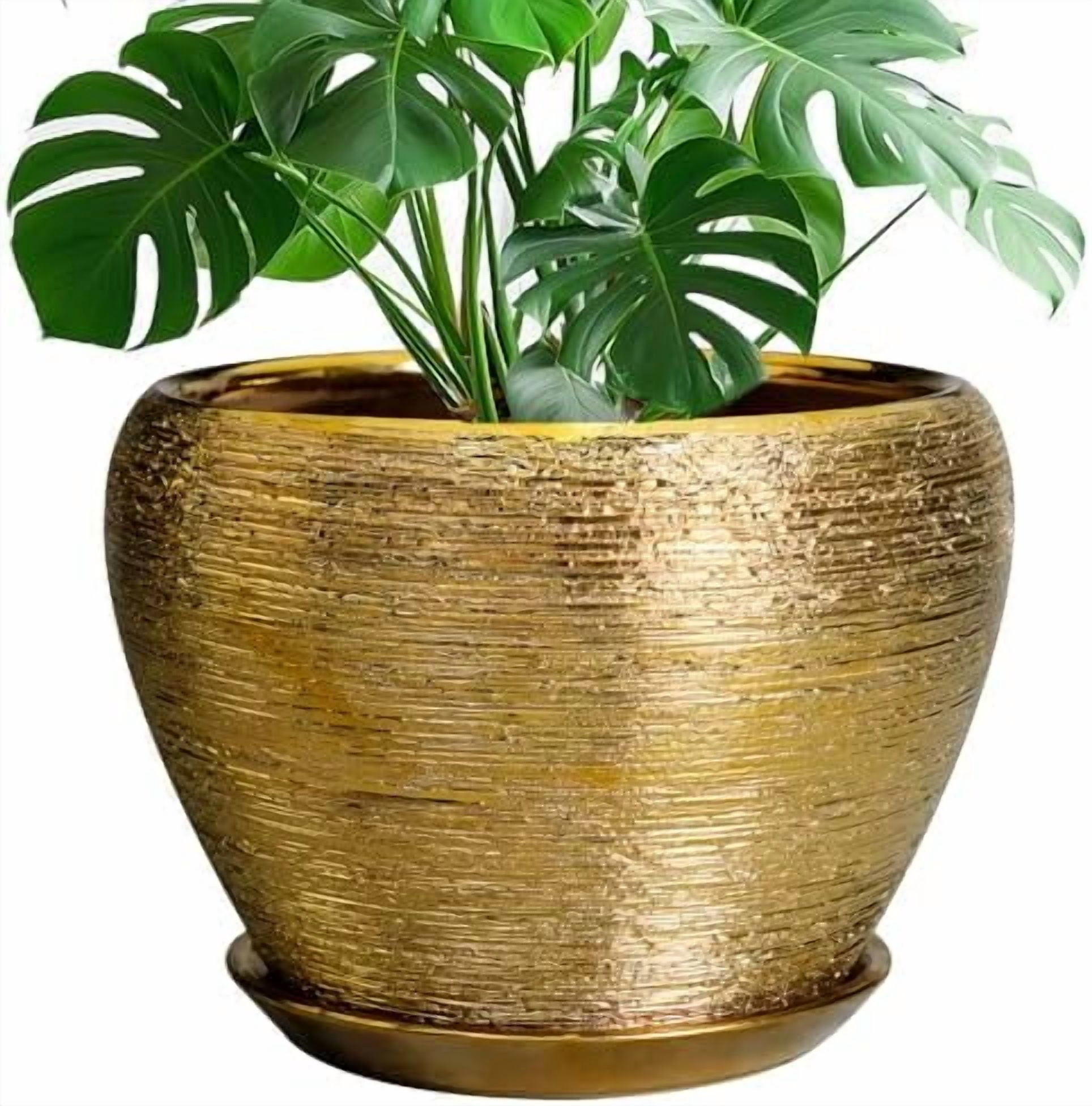 Ceramic Planter 10 Inch - Indoor Plant Pot with Drainage Hole and ...