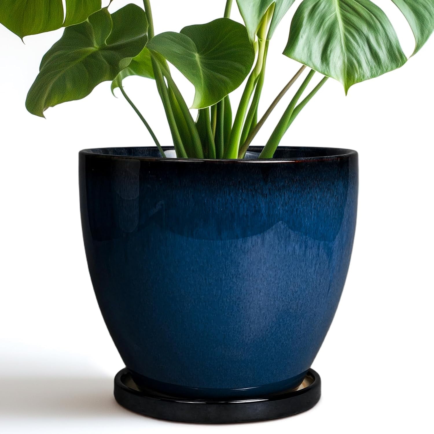 Ceramic Planter - 10 Inch Plant Pot with Drainage Hole and Tray, Round ...