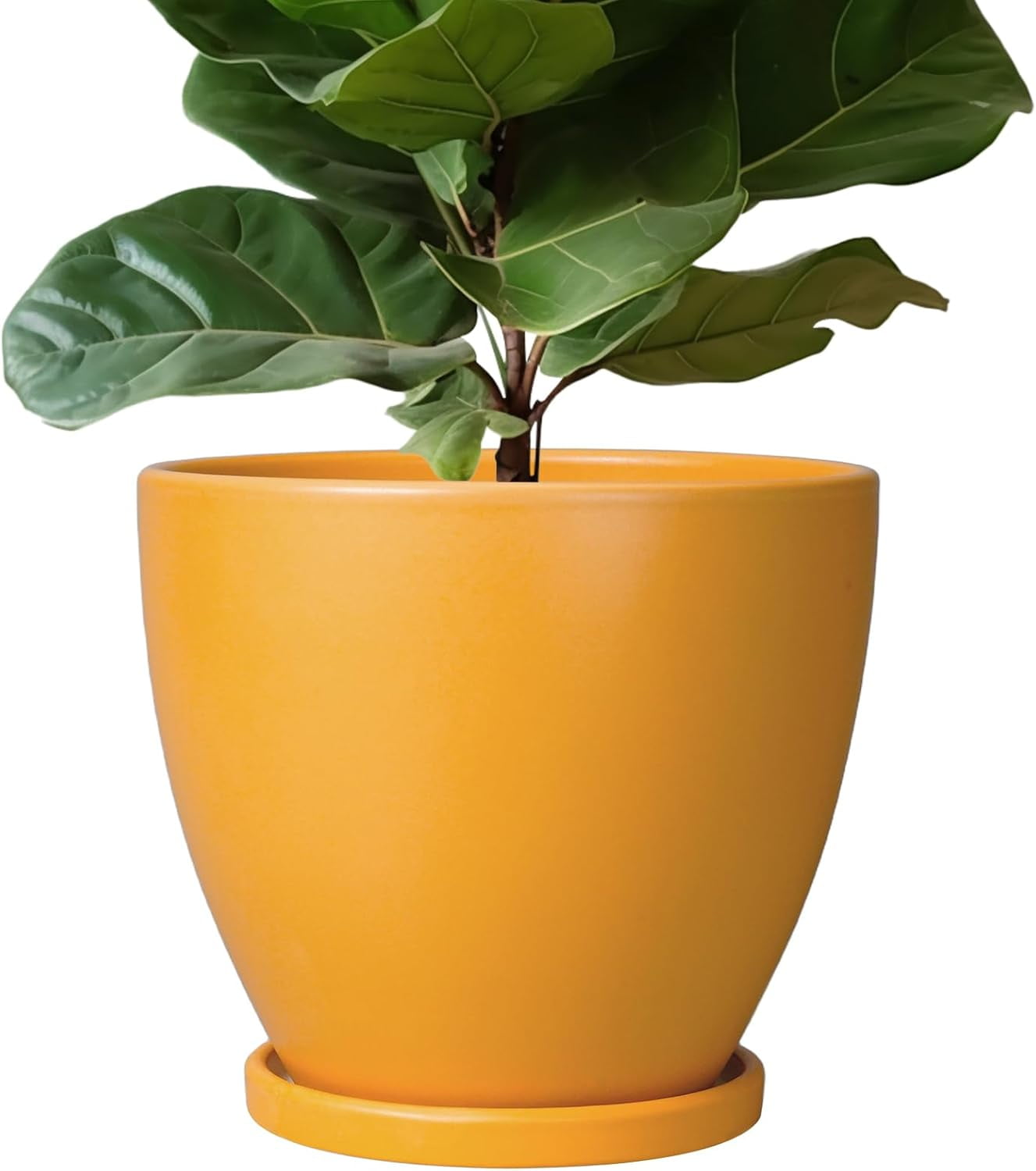 Ceramic Planter - 10 Inch Plant Pot with Drainage Hole and Tray, Round ...