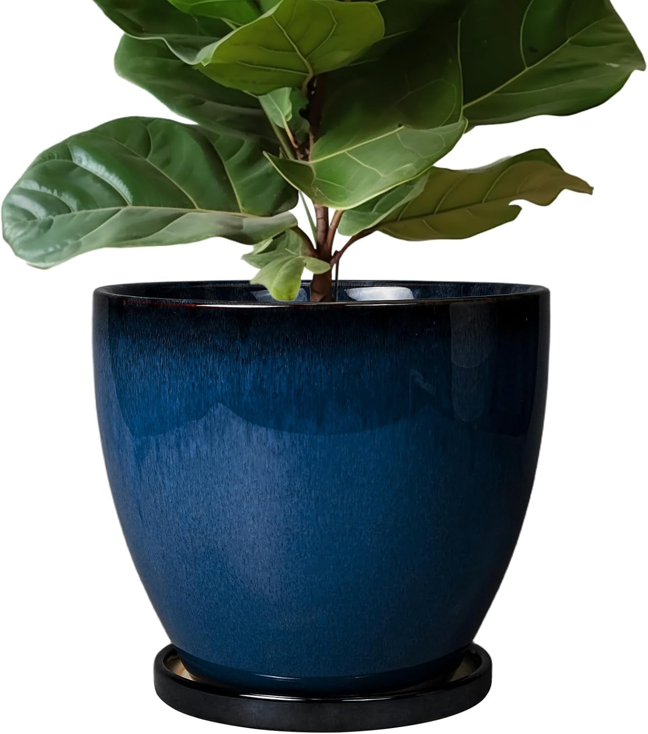 Ceramic Planter - 10 Inch Plant Pot with Drainage Hole and Tray, Round ...