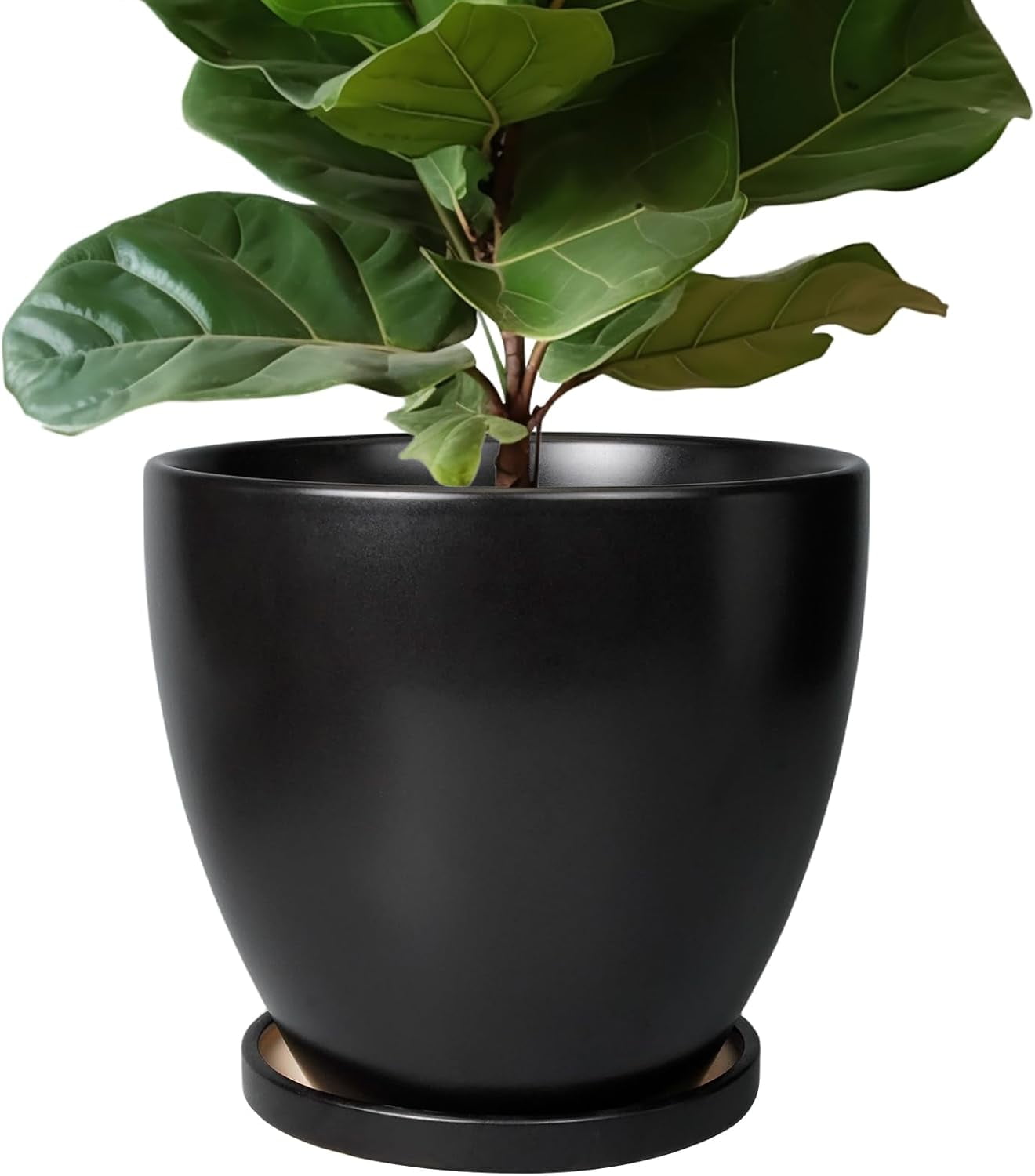 Ceramic Planter - 10 Inch Plant Pot with Drainage Hole and Tray, Round ...