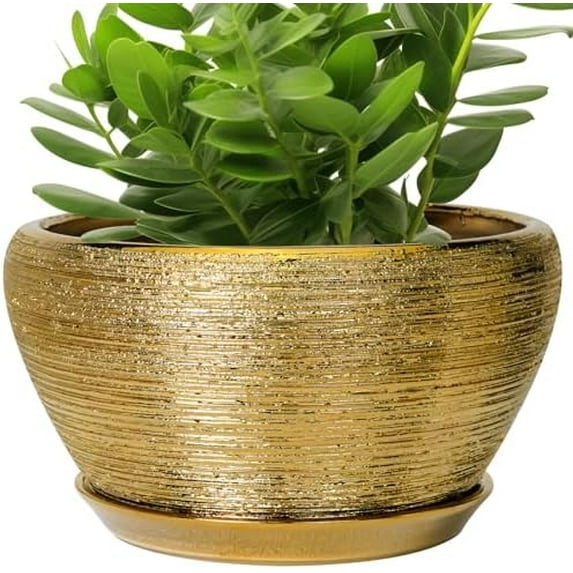 Ceramic Planter 11 Inch - Indoor Plant Pot with Drainage Hole and ...