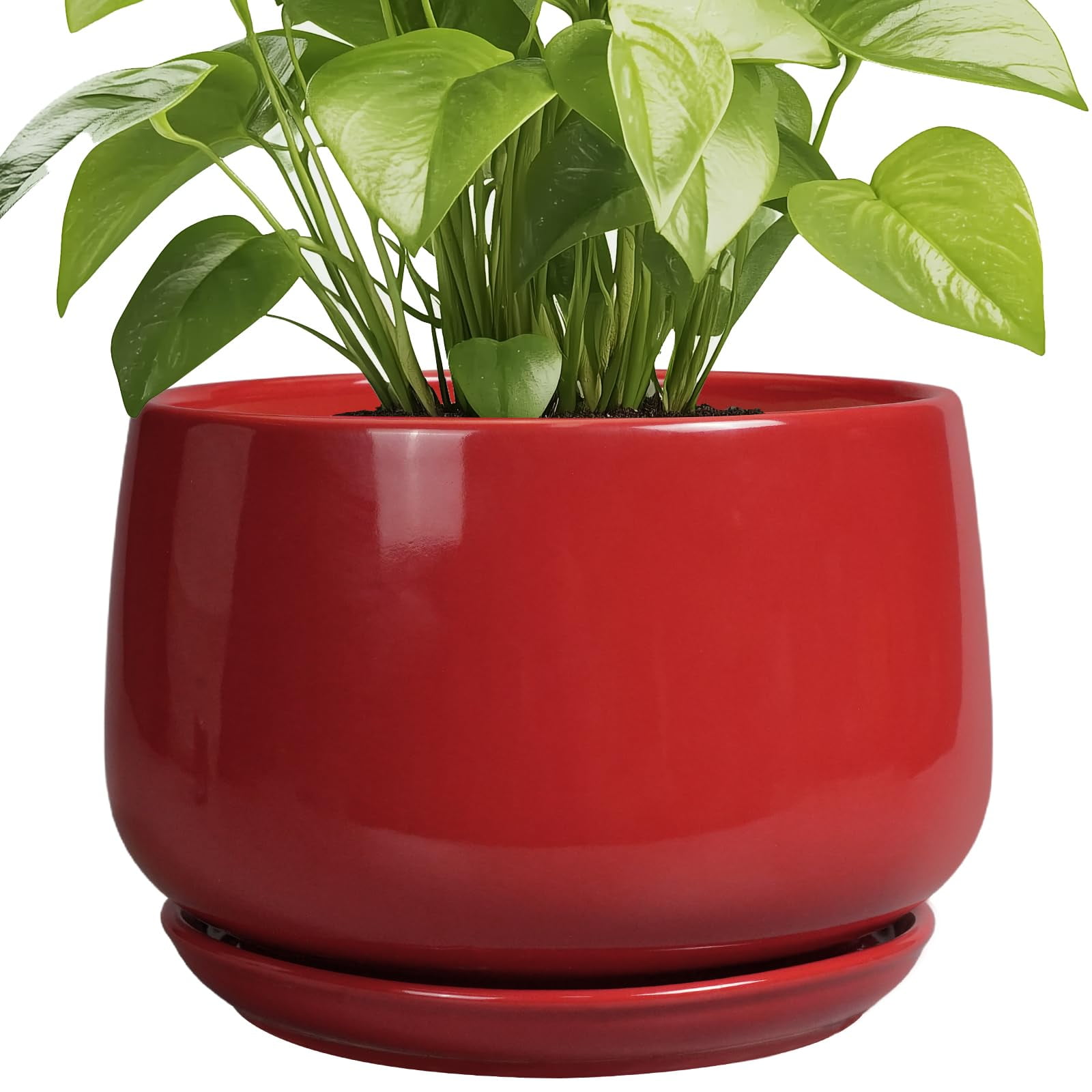 Ceramic Planter 7 Inch - Flower Pots for Indoor Plants, Round Planter with Drainage and Ceramic ...