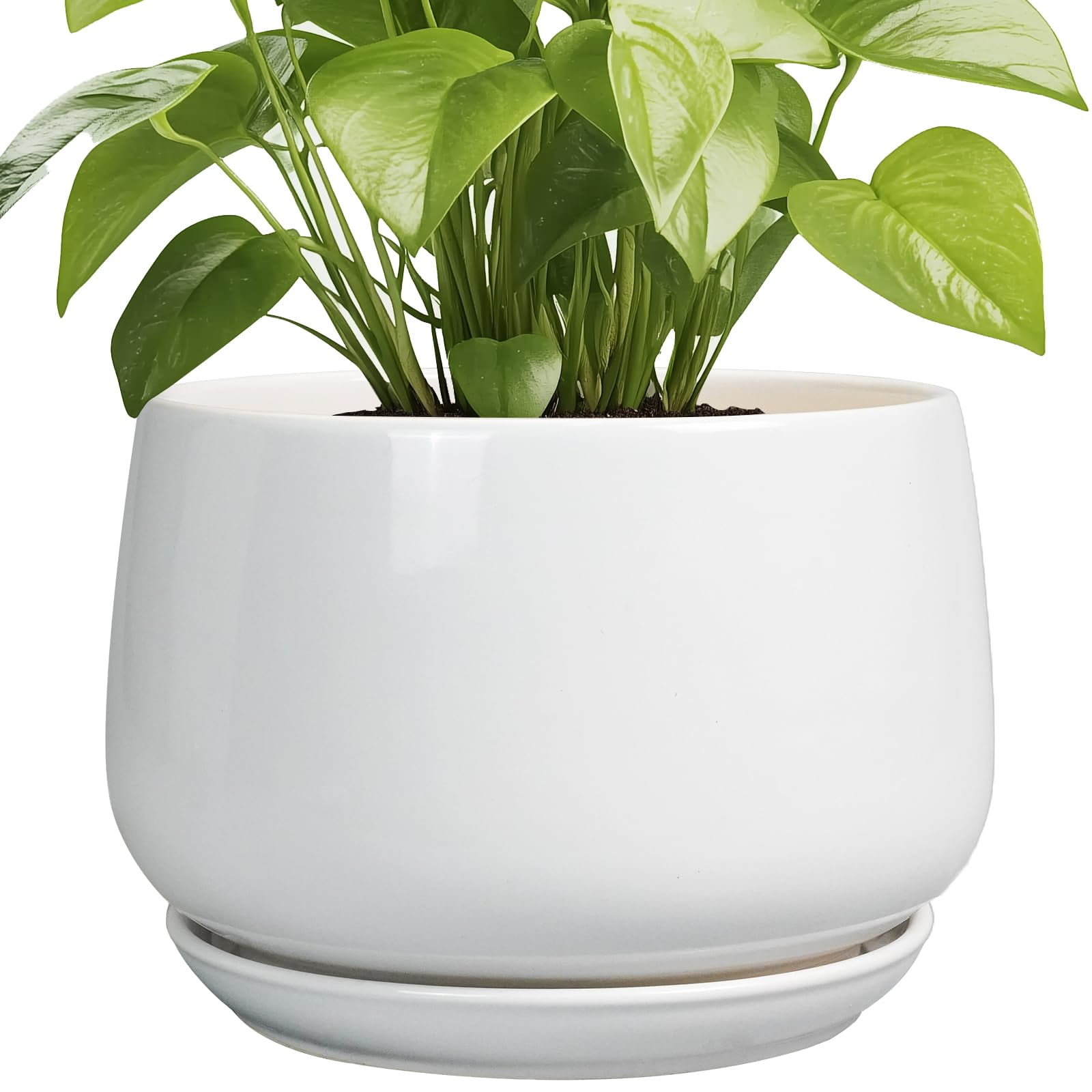 Ceramic Planter 7 Inch - Flower Pots for Indoor Plants, Round Planter ...