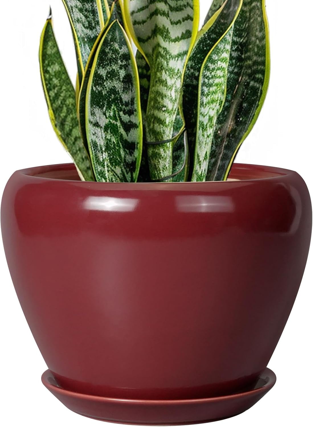 Ceramic Planter - 8 Inch Plant Pot Indoor with Drainage Hole and Saucer ...