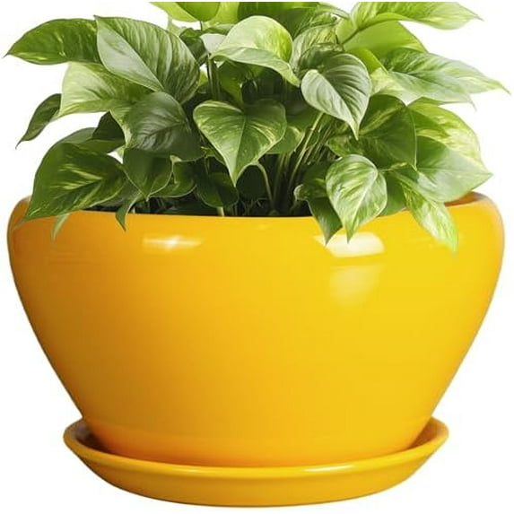 Ceramic Planter 9 Inch - Mid-Century Round Modern Plant Pot Indoor with ...