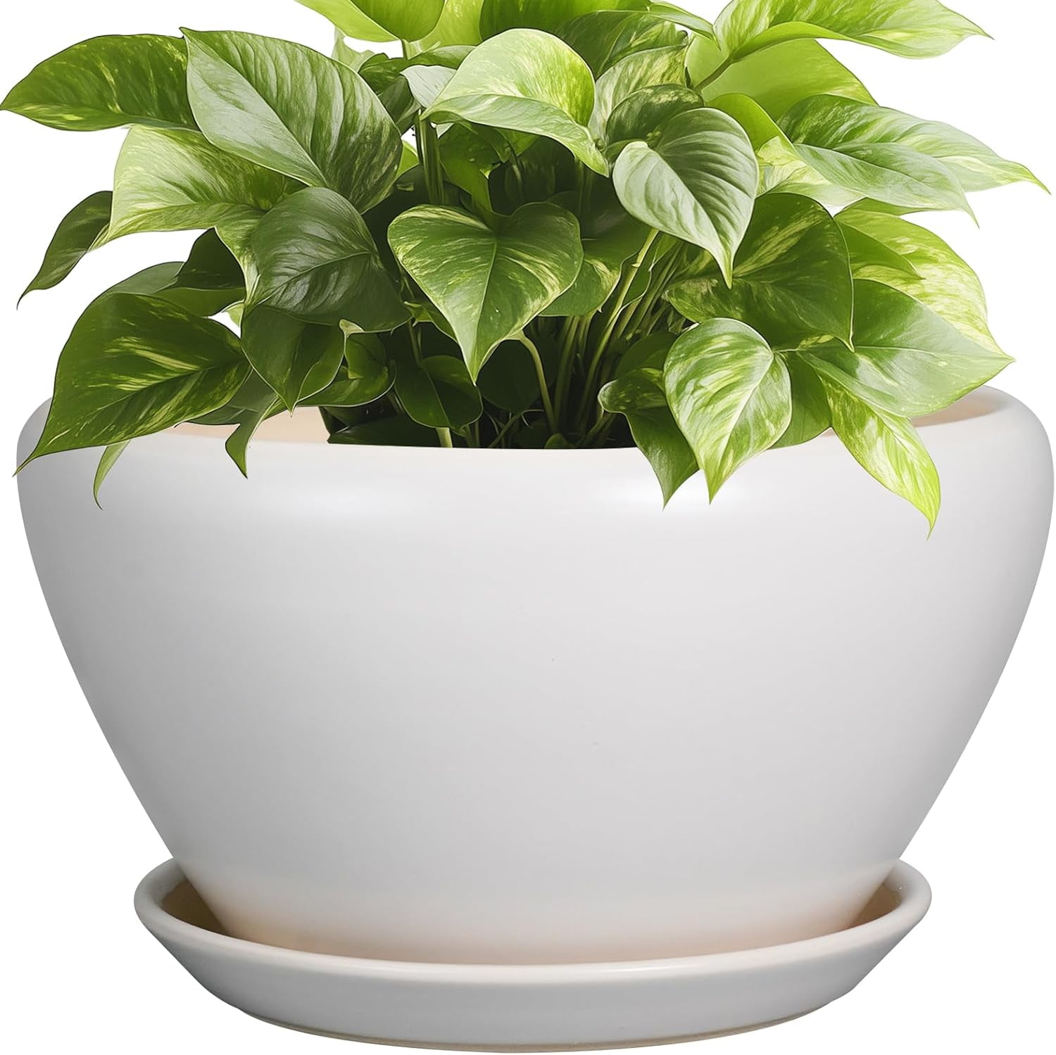 Ceramic Planter - 9 Inch Plant Pot Indoor with Drainage Hole and Saucer ...