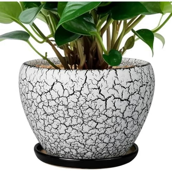 Ceramic Planter Pot - 6 Inch Plant Pot with Drainage Hole and Saucer ...