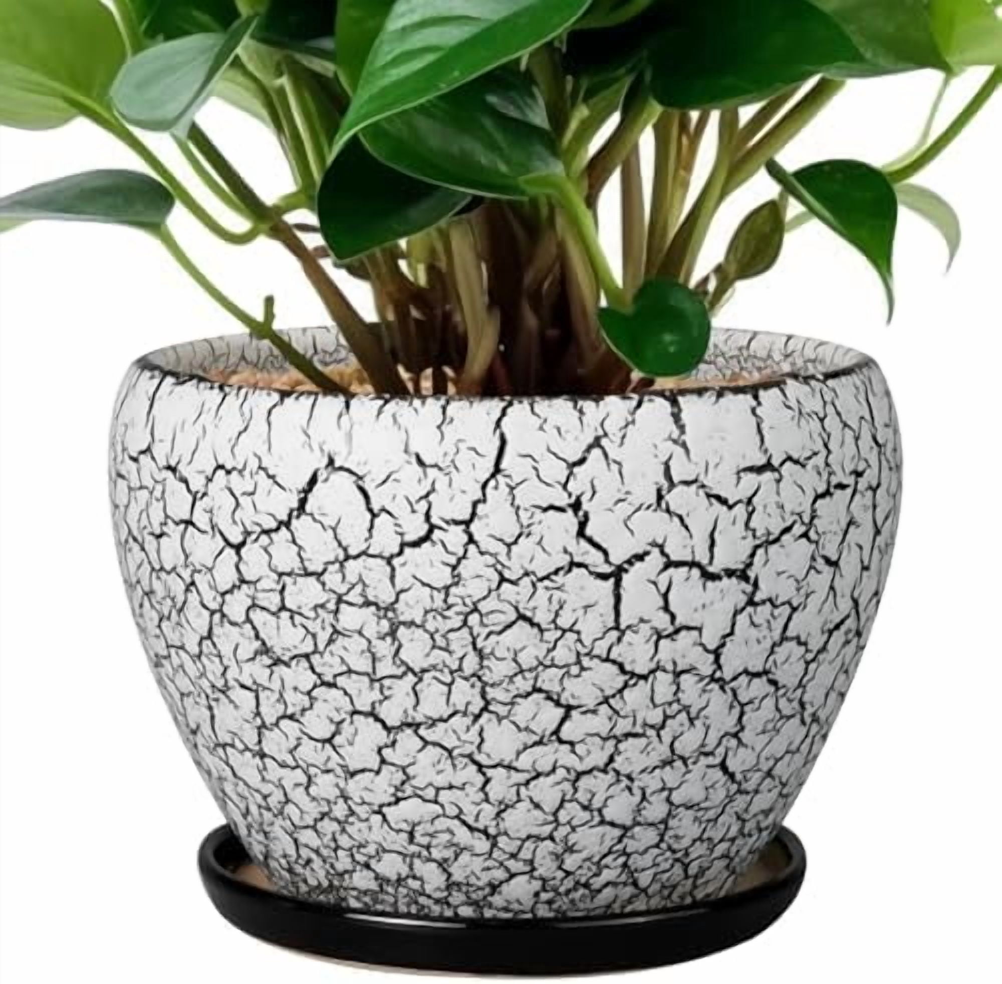 Ceramic Planter Pot - 6 Inch Plant Pot with Drainage Hole and Saucer ...