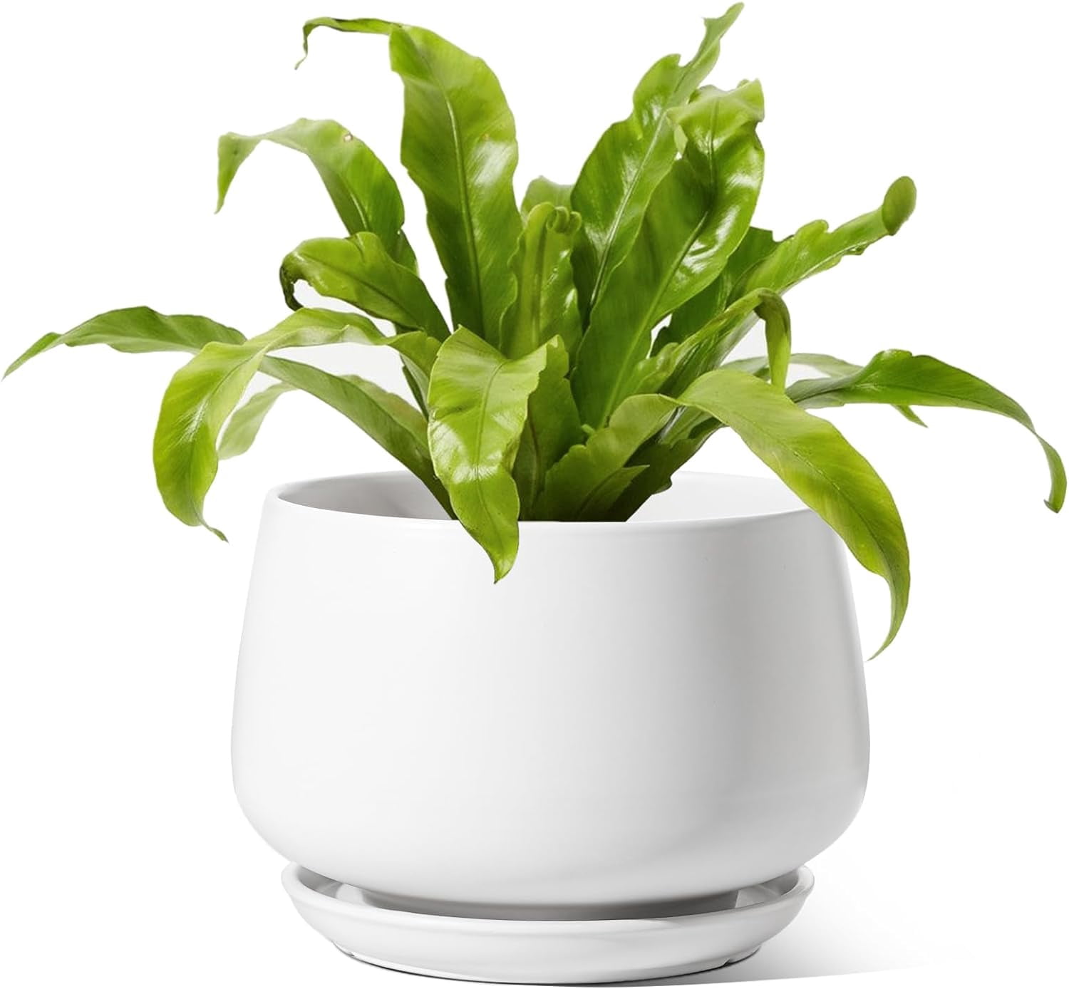 Ceramic Planters, 12 Inch Pots for Plants, Indoor Plant Pots with ...