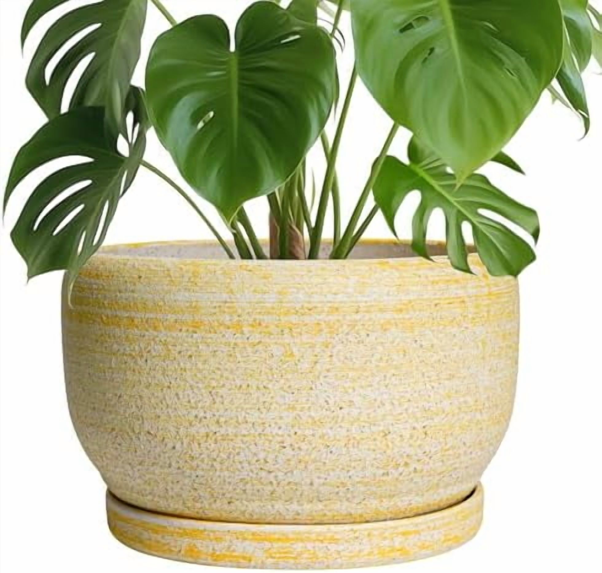 Ceramic Planters for Indoor Plants - 10 Inch Plant Pot with Drainage ...