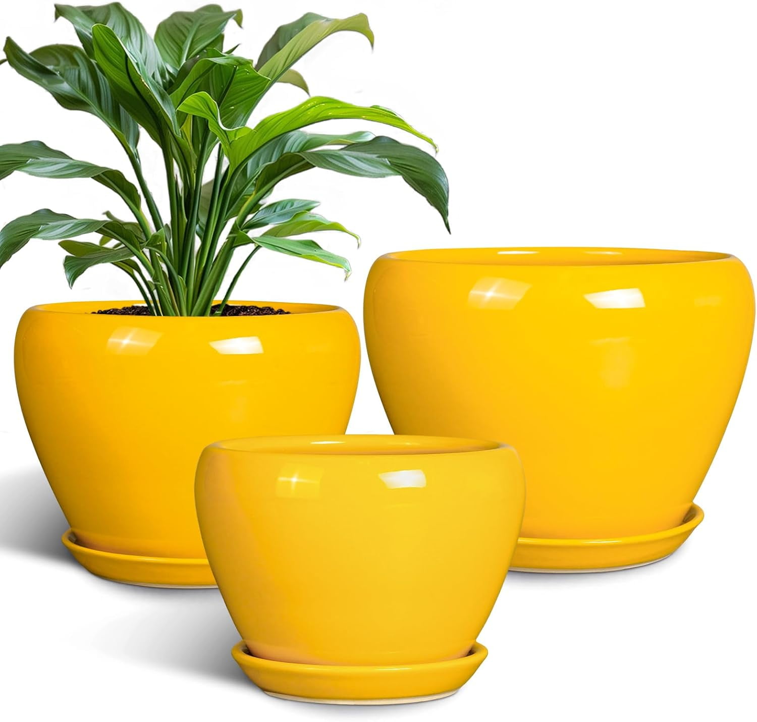 Ceramic Planters Set of 3 - Modern Round 10+8+6 Inch Plant Pots with ...