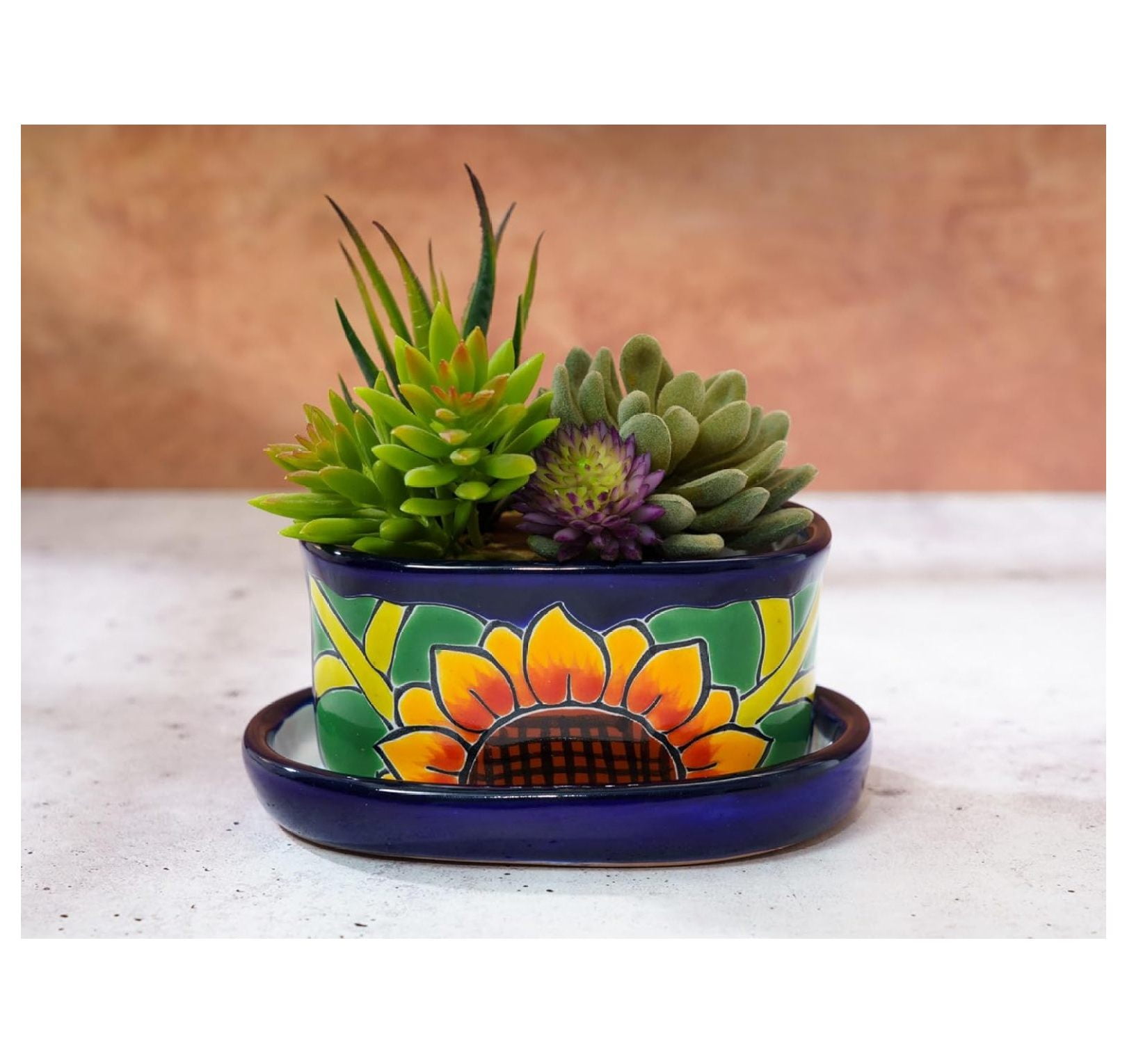 Ceramic Pot Mini Flower Planter Cactus Bonsai Pot W/Drainage & Drip ...