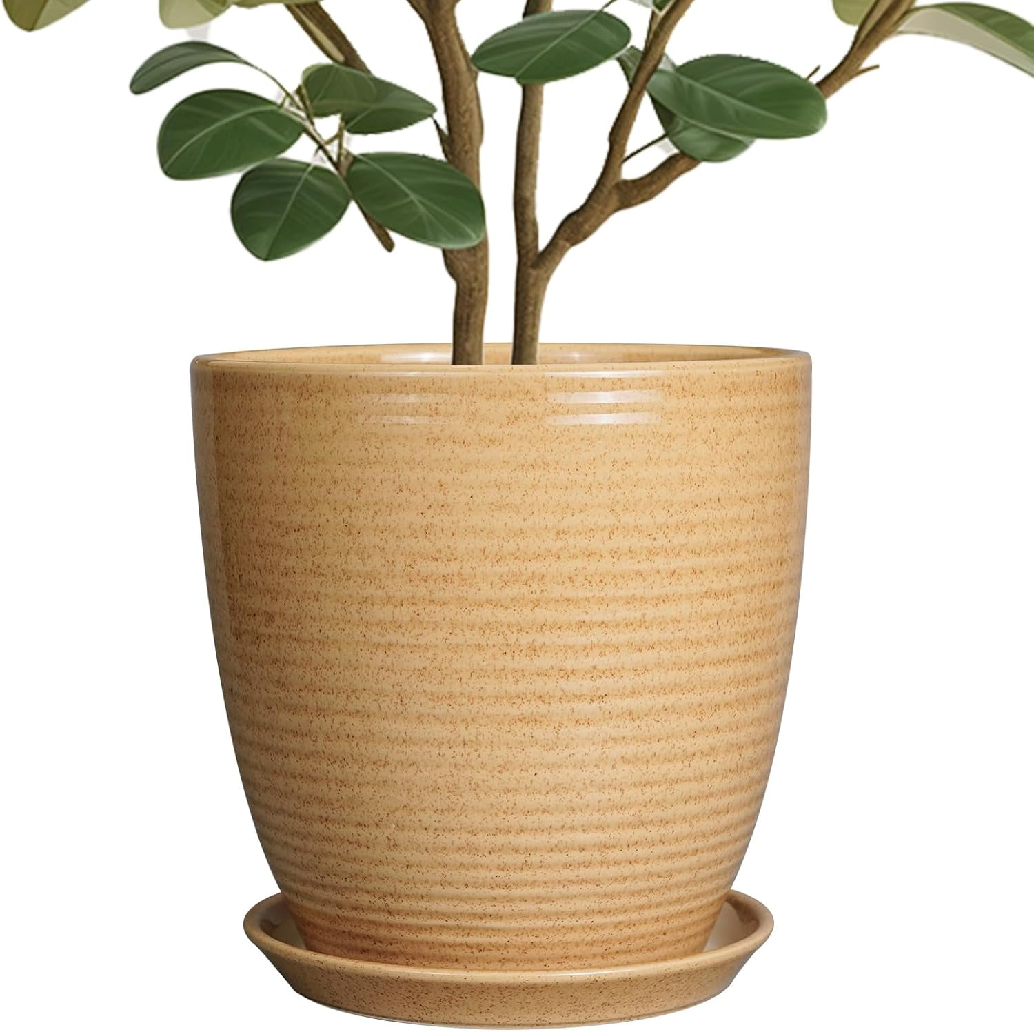 Ceramic Pot for Plants - 10 Inch Plant Pot with Drainage Hole and ...