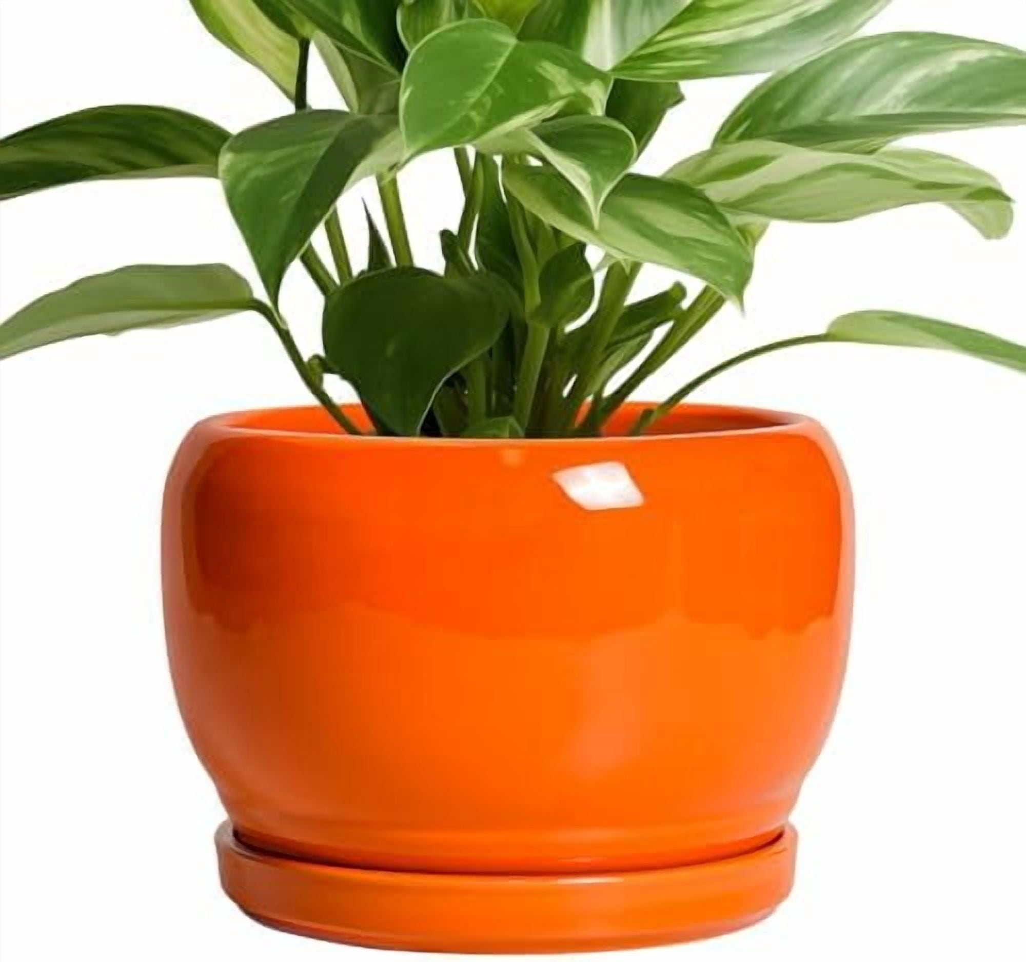 Ceramic Pot for Plants - 8 Inch Plant Pot Indoor Outdoor, Modern Round ...