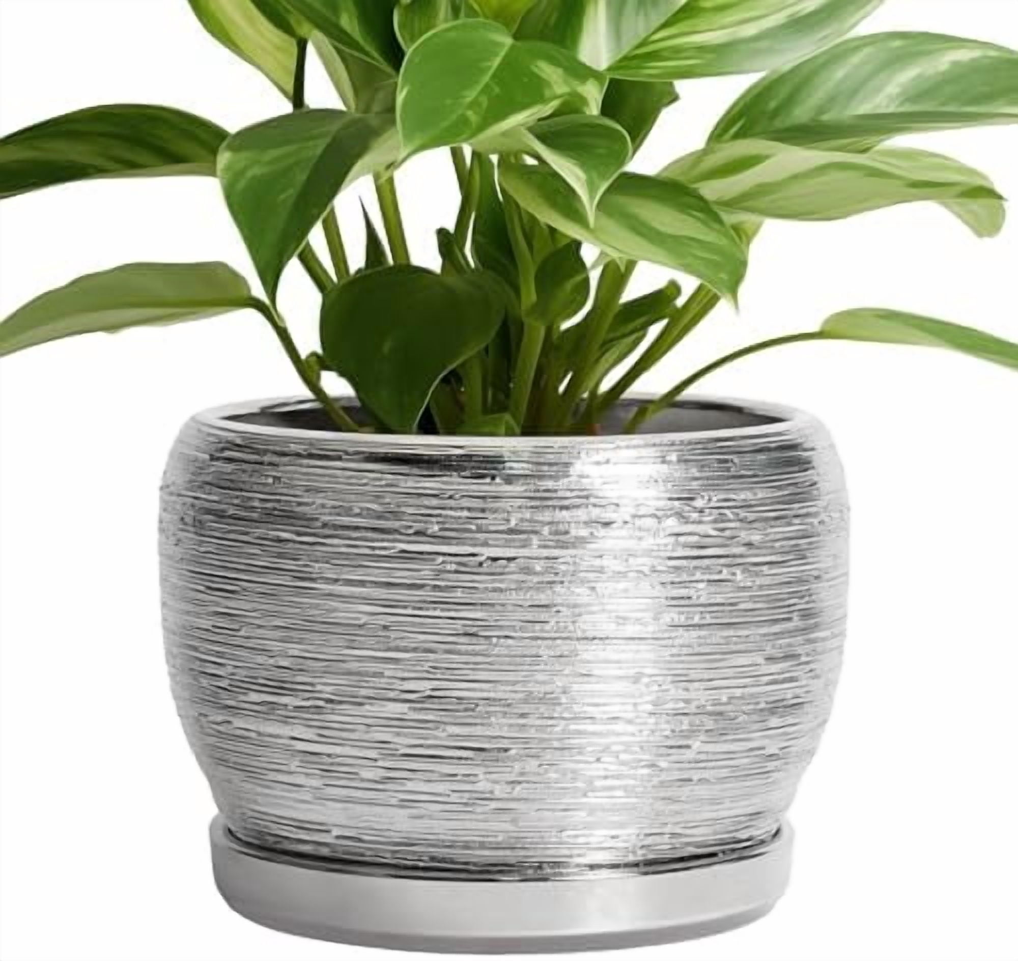 Ceramic Pot for Plants - 8 Inch Planter with Drainage Hole and Saucer ...