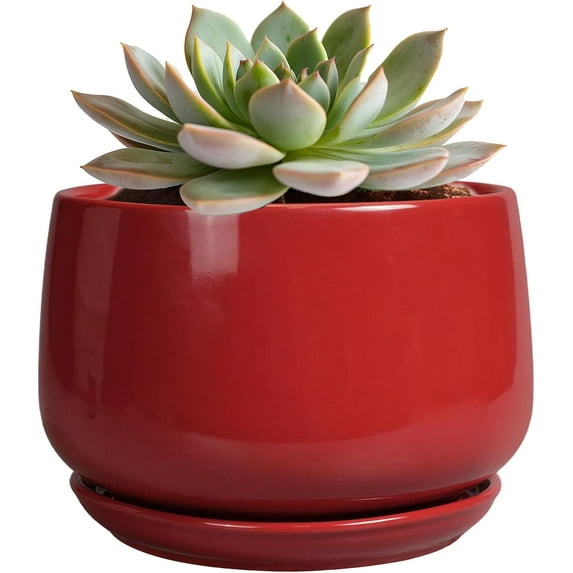 Ceramic Pot for Plants - 6 Inch Plant Pot with Drainage and Ceramic ...